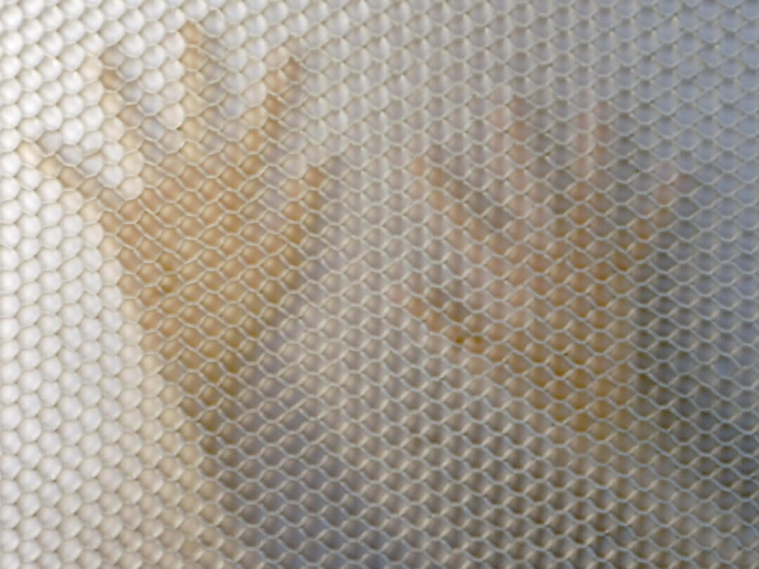Translucent panels combining frosted polycarbonate with honeycomb core